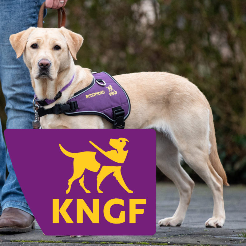 KNGF | Optimaliseren en innoveren met Microsoft 365 | Succesverhaal